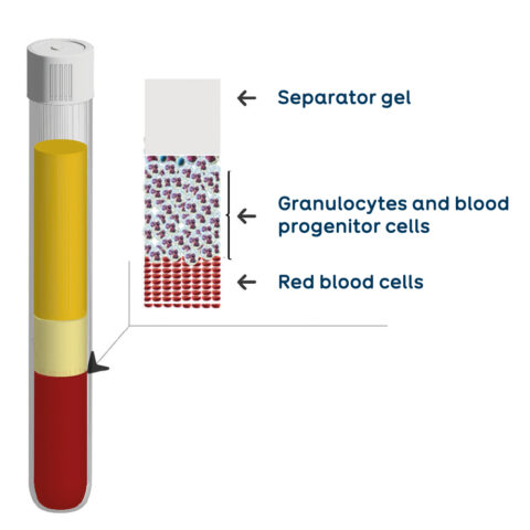Extracell BMC | Regen Lab